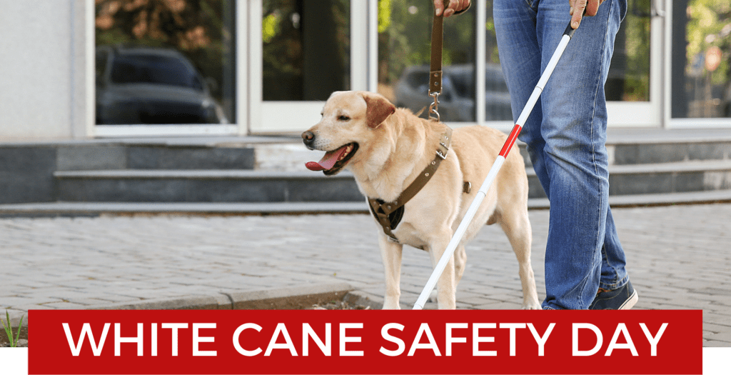 The Lighthouse | White Cane Safety Day